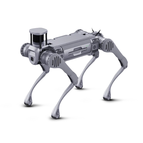 Virtual Showroom – NexVisionITC